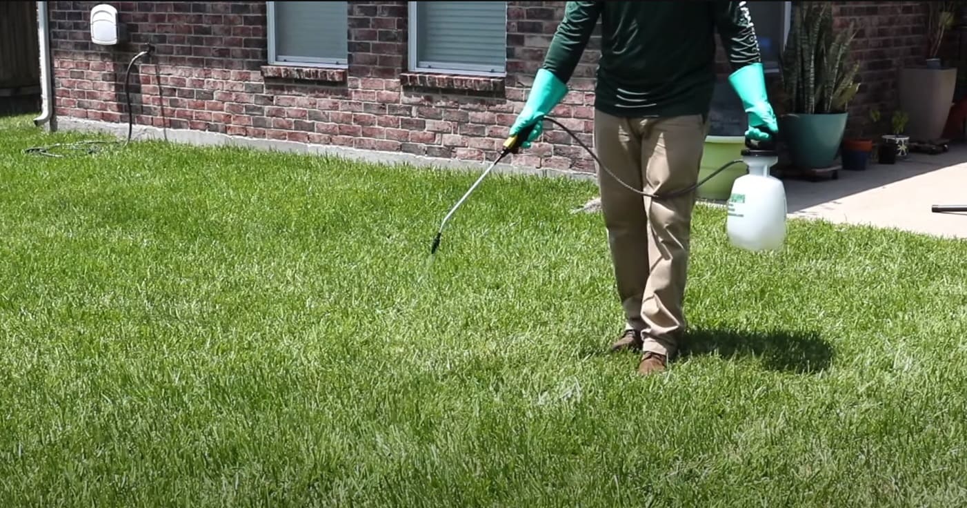 Essentria Official Website - Premium Insecticide Concentrate